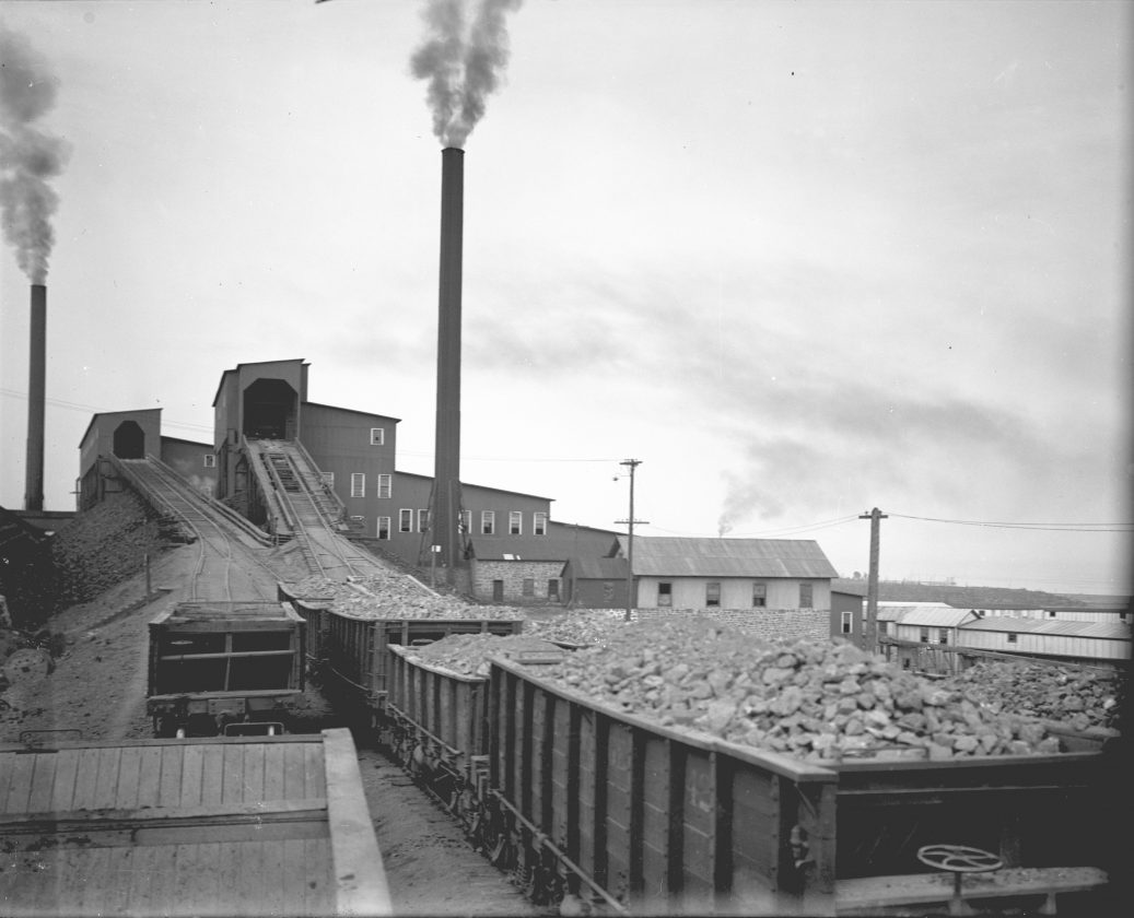 Protecting Buffalo Reef | News, Sports, Jobs - The Mining Journal